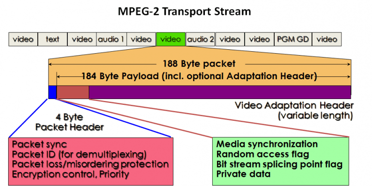 The life of an MPEG standard - Leonardo's Blog